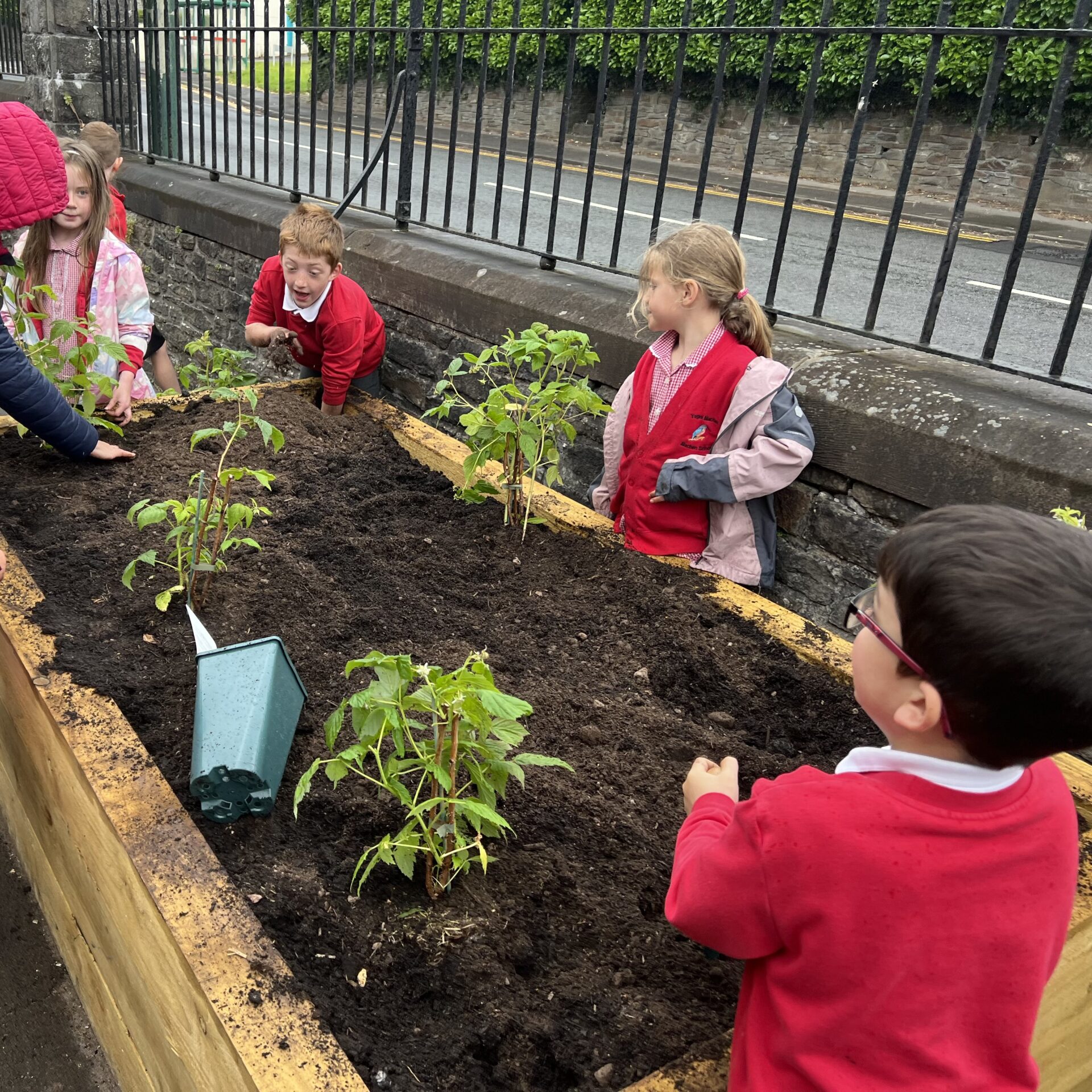 Cardiff - 2024 - Keep Wales Tidy